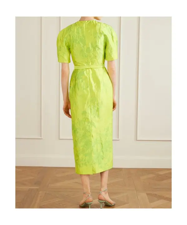 Erdem Printed Pleated Dress