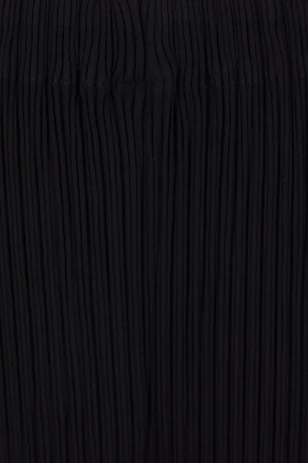 Issey Miyake Pleated Trousers