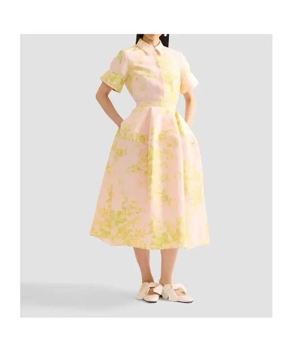 Erdem Printed Midi Skirt