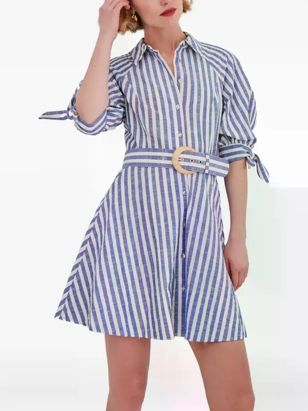 Cara Cara Striped Belted Mini Dress