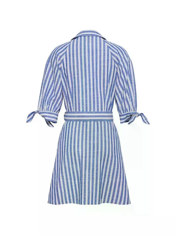 Cara Cara Striped Belted Mini Dress