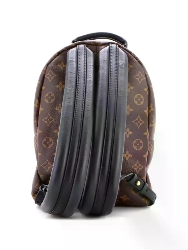 LOUIS VUITTON Palm Springs Monogram Canvas Pm Backpack