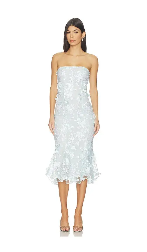 OPERASPORT Embellished Tulle Midi Dress - Baby Blue