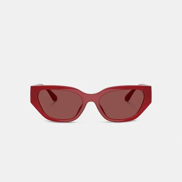 COACH OUTLET Geometric Cat Eye Sunglasses - Red