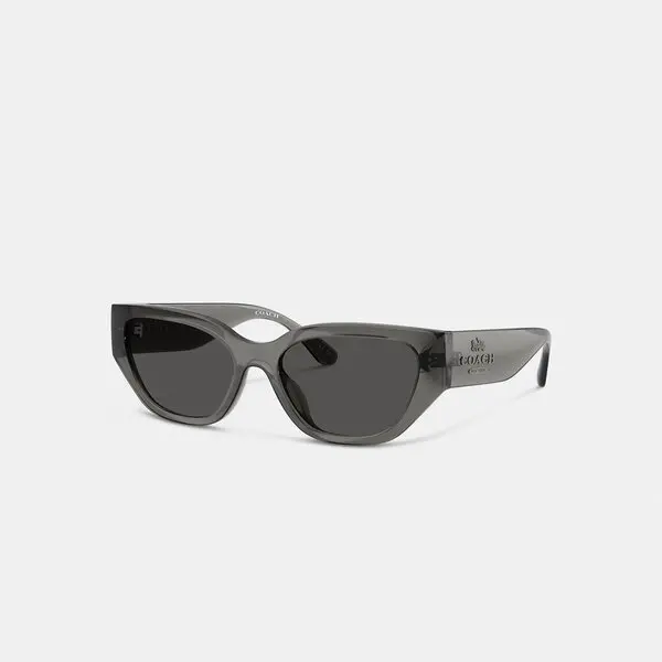 COACH OUTLET Geometric Cat Eye Sunglasses - Transparent Gray