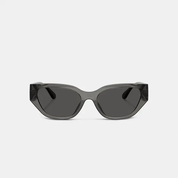COACH OUTLET Geometric Cat Eye Sunglasses - Transparent Gray