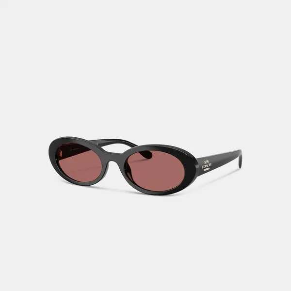 COACH OUTLET Oval Sunglasses - Black W/pink