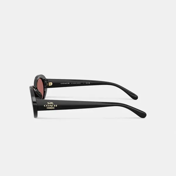 COACH OUTLET Oval Sunglasses - Black W/pink