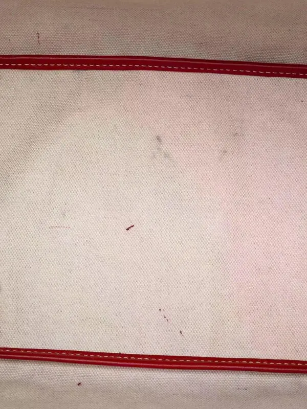 Goyard Saint Louis Pm Tote Bag - Red