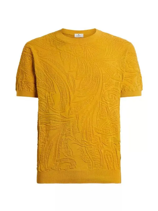 Etro Paisley-knit T-shirt