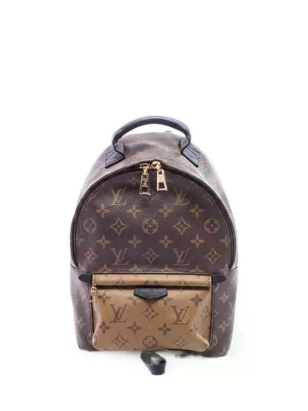 LOUIS VUITTON Monogram Palm Springs Backpack - Brown