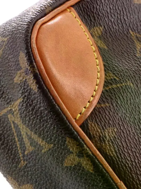 LOUIS VUITTON Danube Monogram Canvas Crossbody Bag