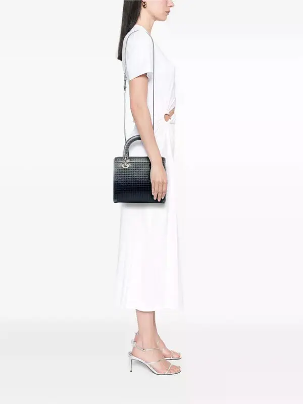 Dior Lady Satchel - Silver