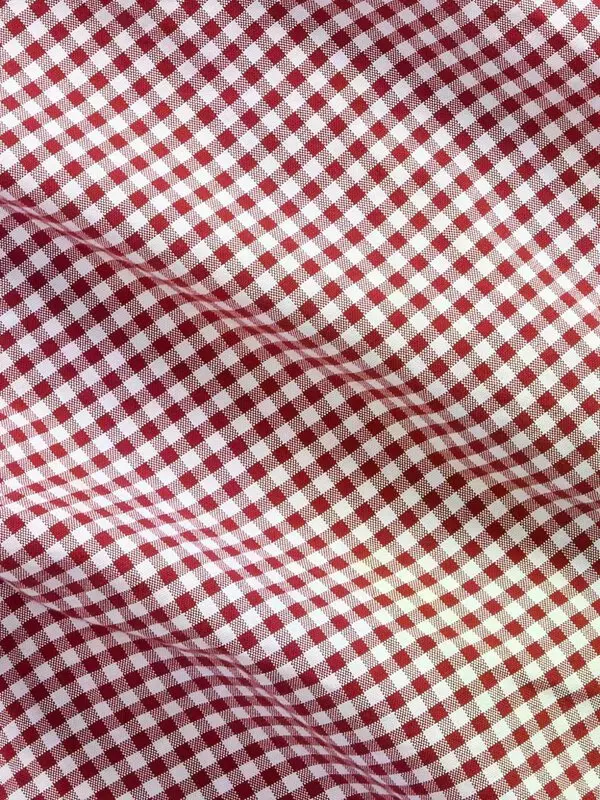 Polo Ralph Lauren Gingham-check Button-down Shirt