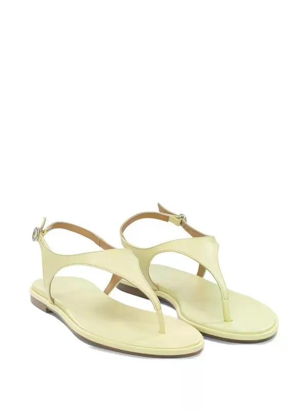 AeydĒ Raine Thong Sandals