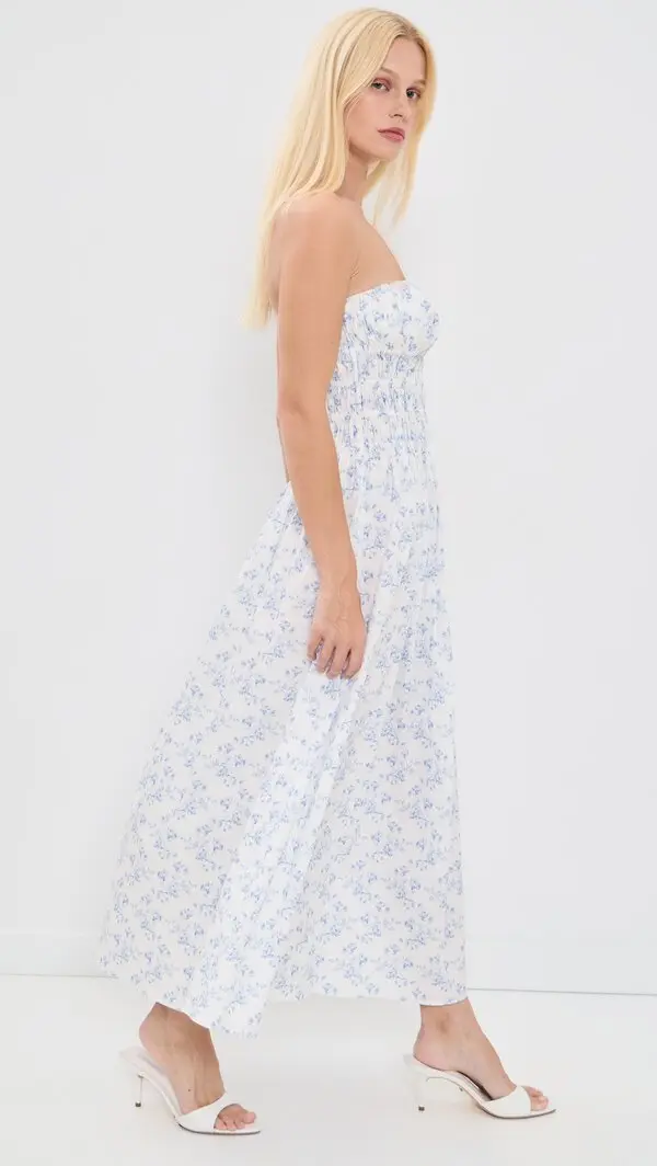 Caroline Constas Ivette Floral Print Strapless Maxi Dress