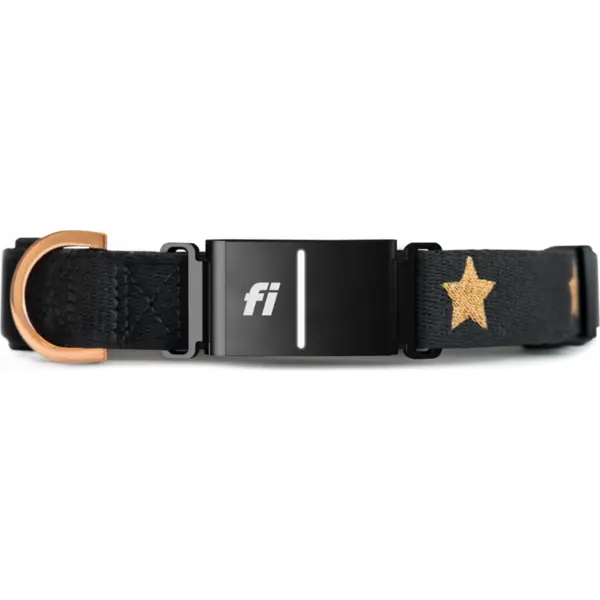 DOGISTRY 3+ Collar Band - Small