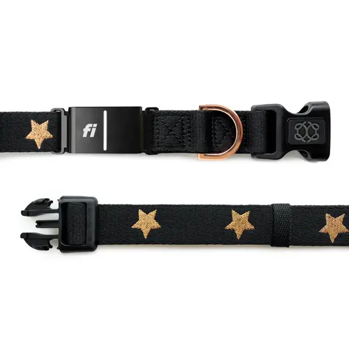 DOGISTRY 3+ Collar Band - Small