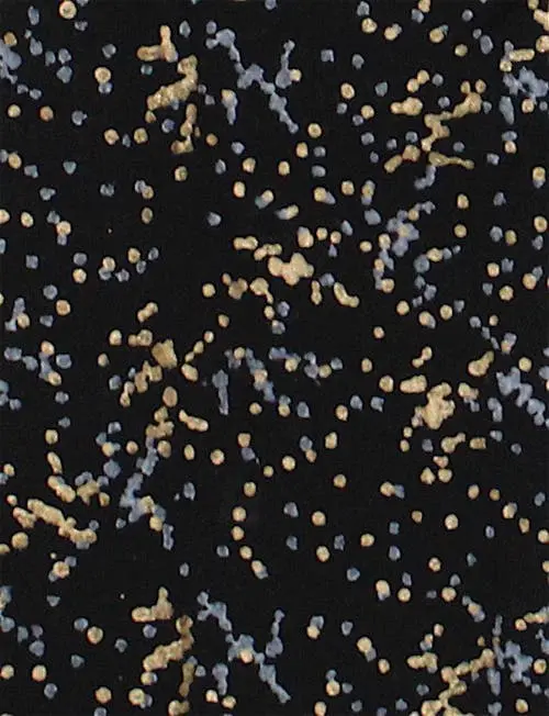 PASSION LILIE Splatter Dot Scarf