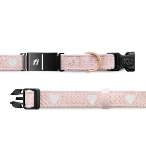 DOGISTRY 3+ Collar Band