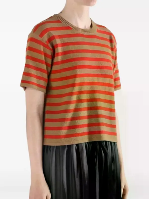 THE ELDER STATESMAN Scout Striped T-shirt