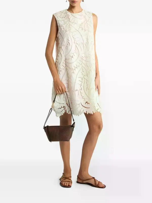 Etro Cotton Floral-lace Embroidery Mini Dress