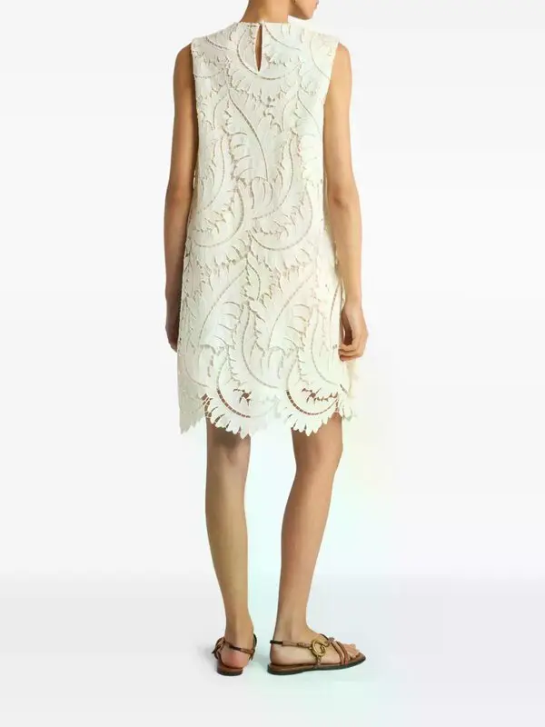Etro Cotton Floral-lace Embroidery Mini Dress