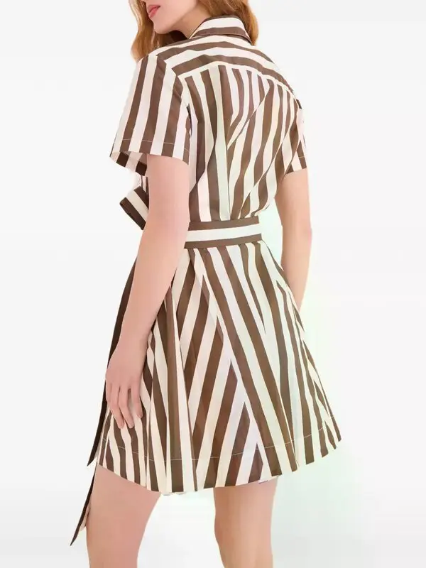 Cara Cara Lagos Striped Belted Mini Dress