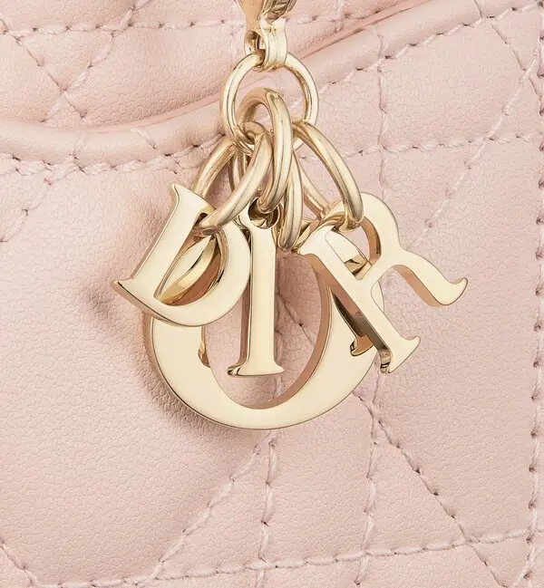 Dior Cosmos Zipper Card Bag