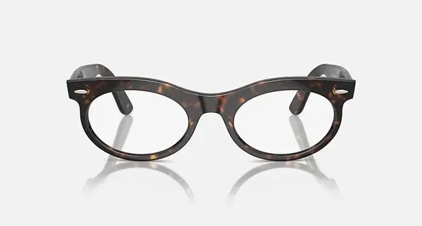 Ray-ban Wayfarer Oval Frame Eyeglasses