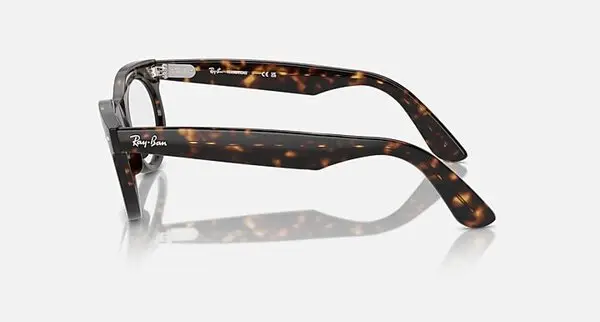Ray-ban Wayfarer Oval Frame Eyeglasses