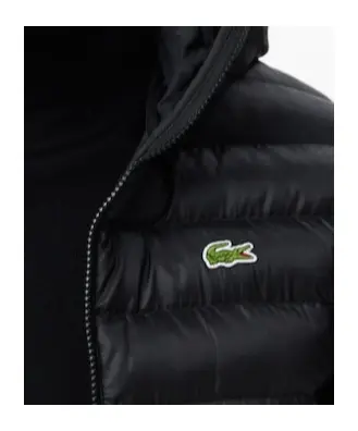 Lacoste Water-repellent Padded Hooded Jacket