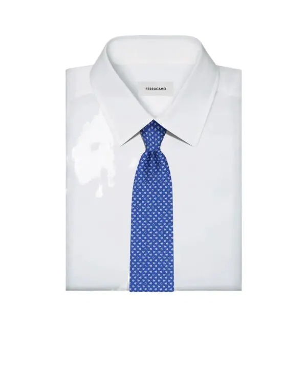 FERRAGAMO Printed Neck Tie