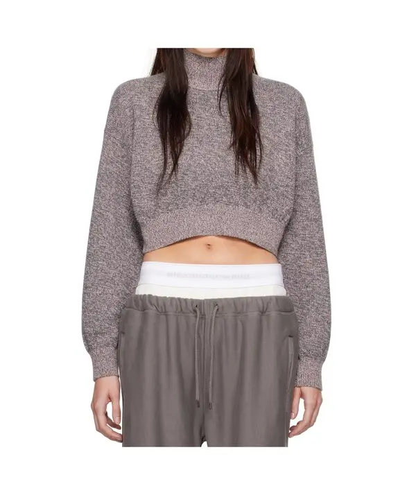 Alexander Wang Ribbed Turtleneck Cropped Sweater