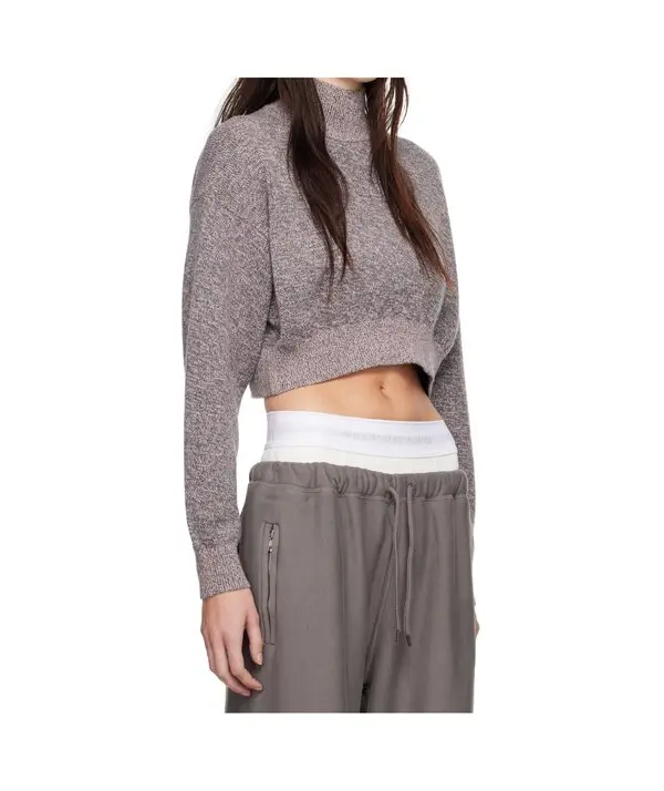 Alexander Wang Ribbed Turtleneck Cropped Sweater