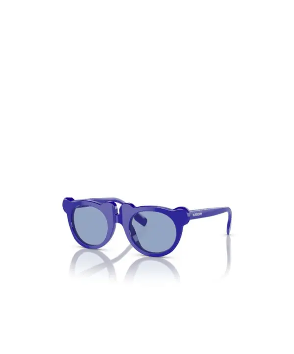 Burberry Full Rim Sunglasses With Tinted Lenses And Logo Detail
