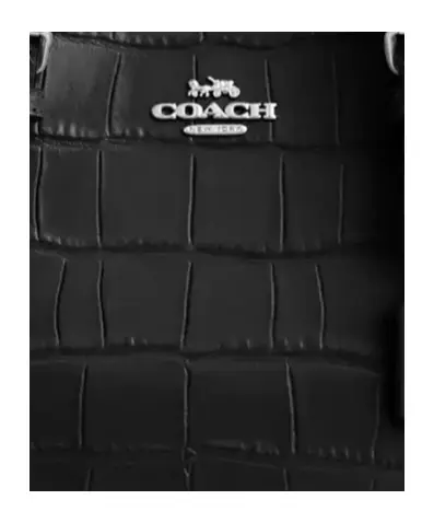 COACH Mollie 25 Shoulder Bag