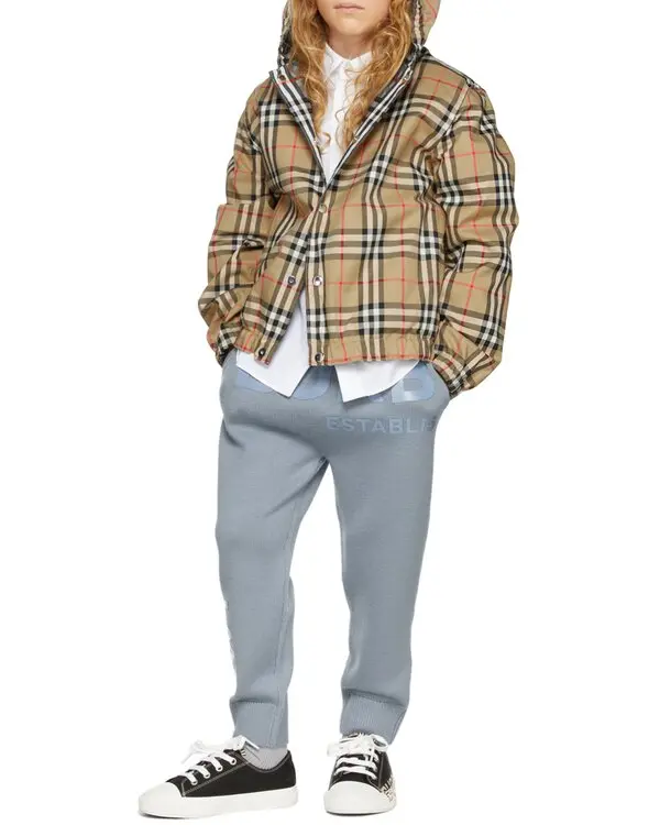 Burberry Reversible Check Print Hooded Jacket - Gray