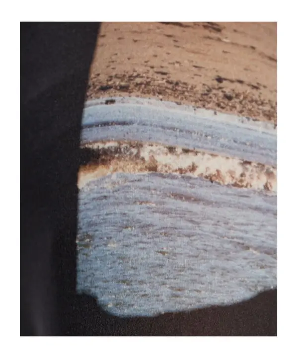 Issey Miyake Colorblocked Printed Trousers