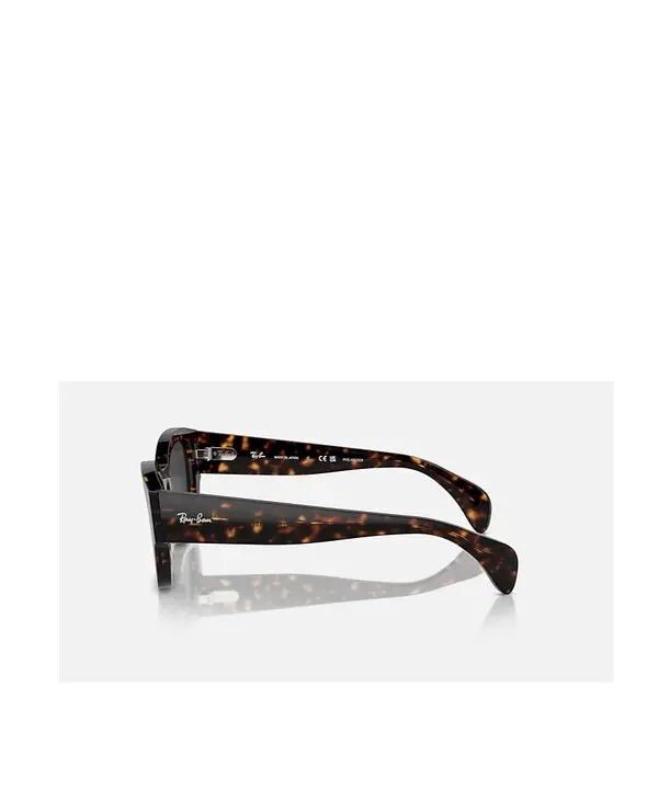 Ray-ban Full Rim Sunglasses With Tinted Lenses And Curved Temples