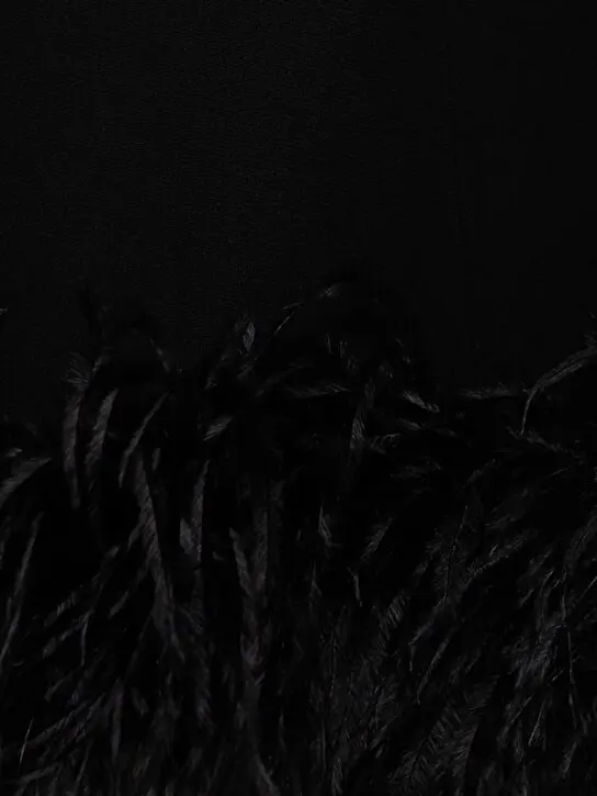 Valentino Garavani Feather Trimmed Dress