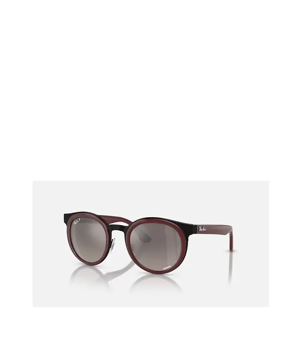 Ray-ban Full Frame Round Sunglasses