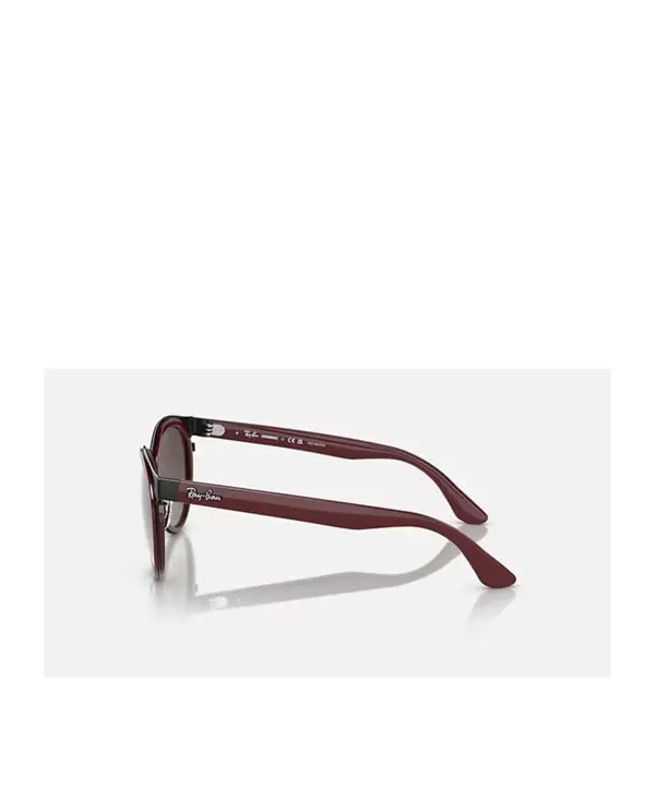 Ray-ban Full Frame Round Sunglasses