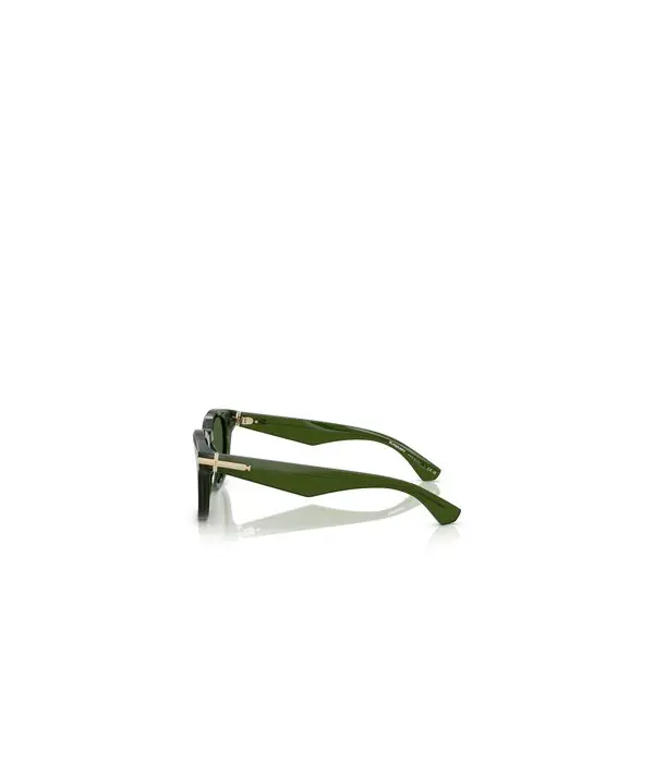 Burberry Round Frame Sunglasses
