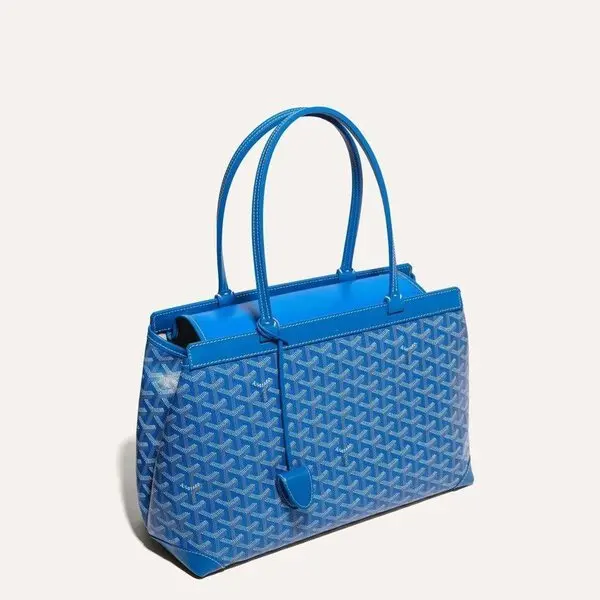 Goyard Small Patterned Tote Bag