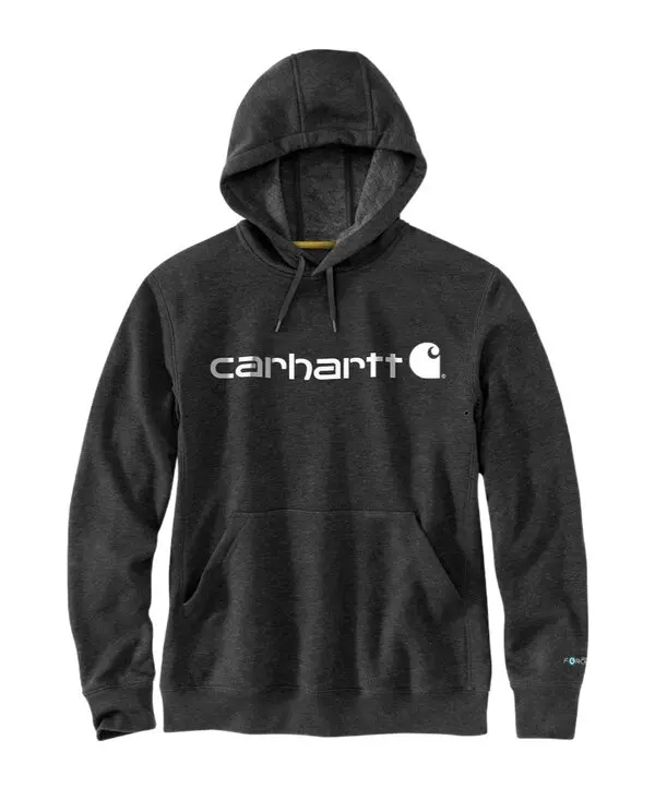 Carhartt Force Delmont Signature Graphic Hooded Sweatshirt