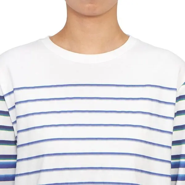 Polo Ralph Lauren Long Sleeve Striped Crewneck T-shirt