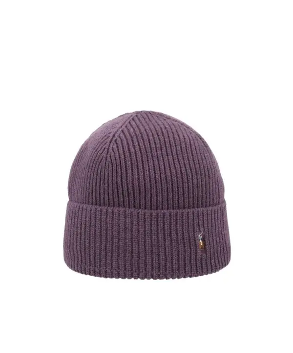 Polo Ralph Lauren Ribbed Beanie With Pony Motif - Black