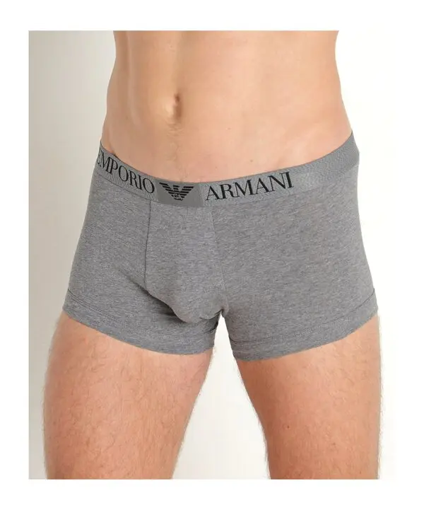 Emporio Armani Elastic Waist Underwear - Gray