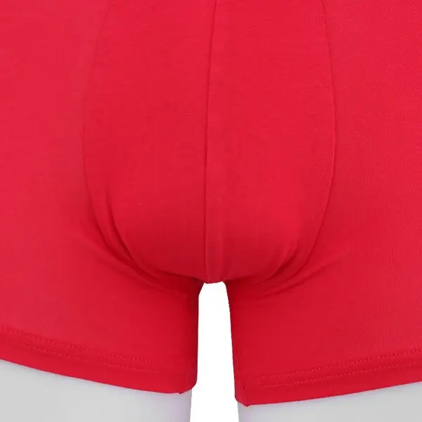 Emporio Armani Logo Underwear 2-piece Pack